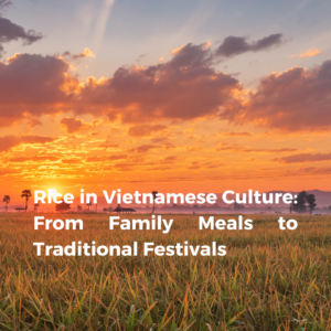 Rice in Vietnamese Culture: From Family Meals to Traditional Festivals ...